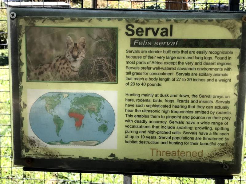 Cave Junction – WHO KNEW? – One Big Field Trip